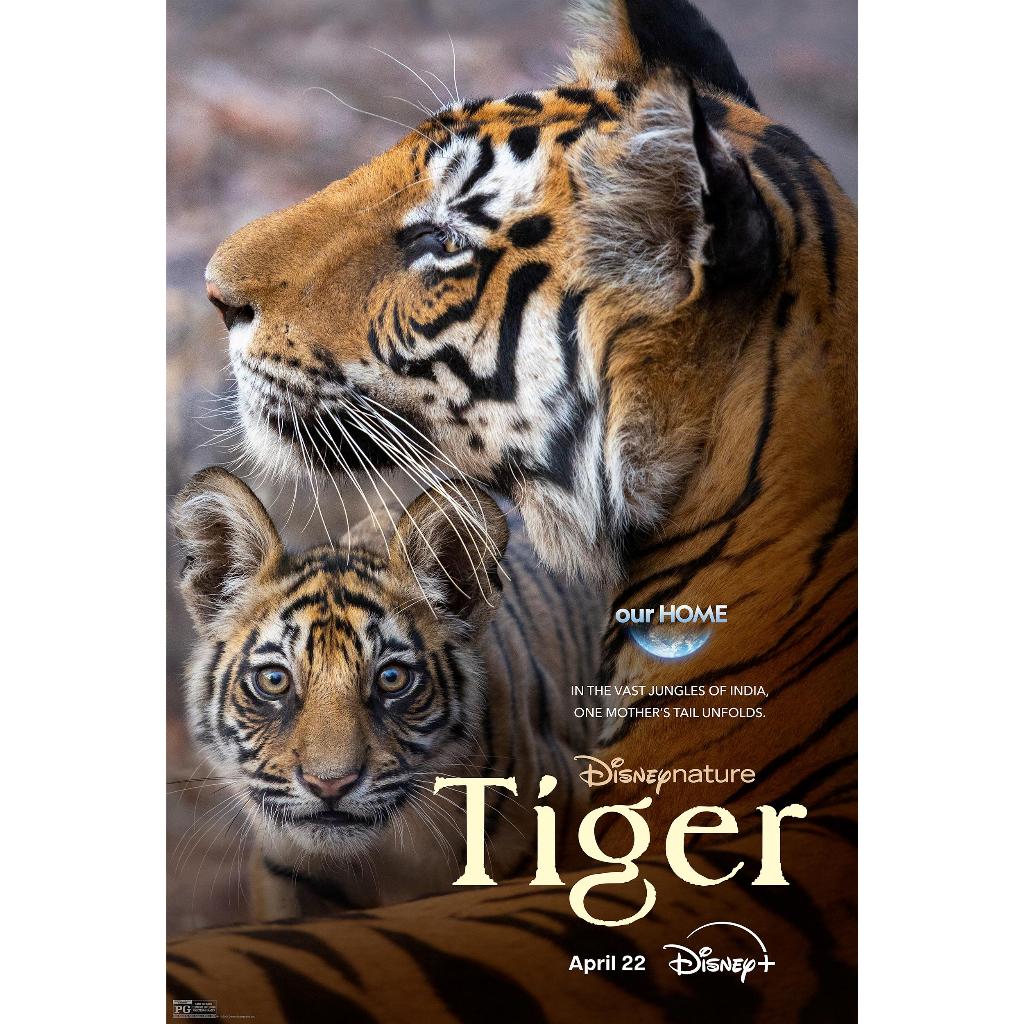 Jual Film Dvd Tiger 2024 High Quality Teks Indonesia | Shopee Indonesia