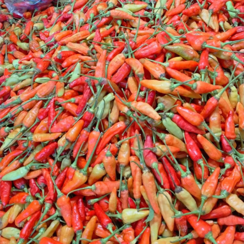 Jual Cabe Rawit Merah 1kg | Cabe rawit Ori | Cabe rawit pedas | Lombok ...