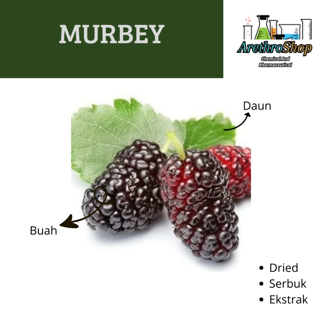 Jual EKSTRAK BUAH MURBEY 10 GRAM BEST PRODUCT | Shopee Indonesia