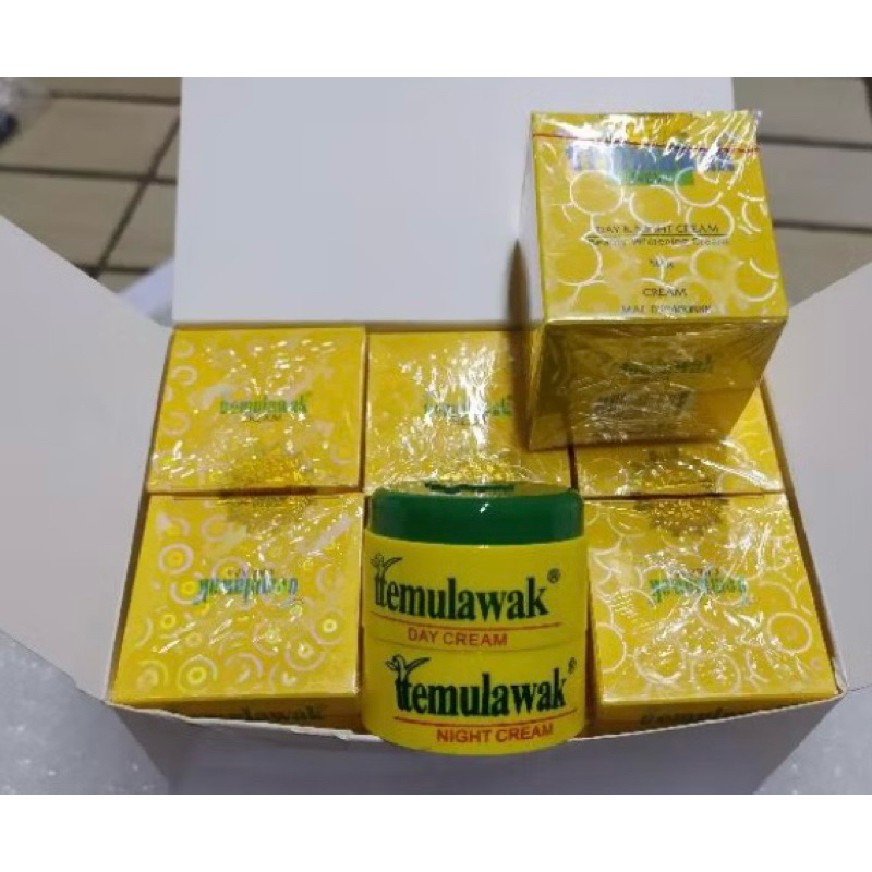 Jual CREAM (TEMULAWAK) SUSUN 2in1/Siang Malam ORIGINAL(COD) | Shopee ...