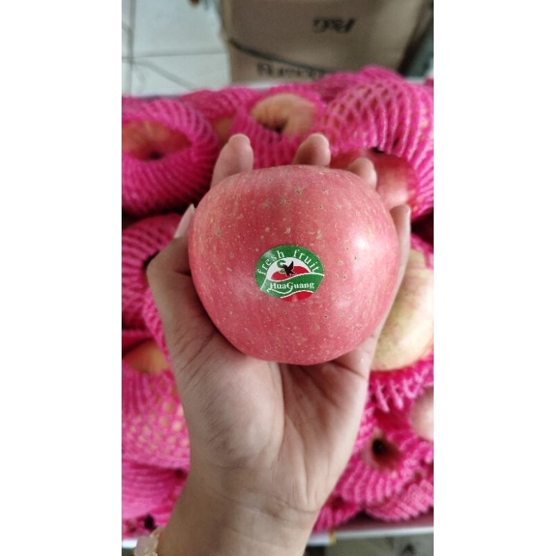 Jual apel fuji 500gram | Shopee Indonesia