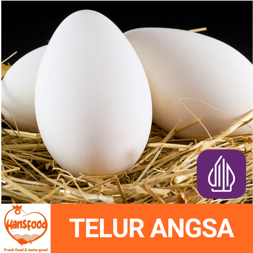 Jual TELUR ANGSA | Shopee Indonesia