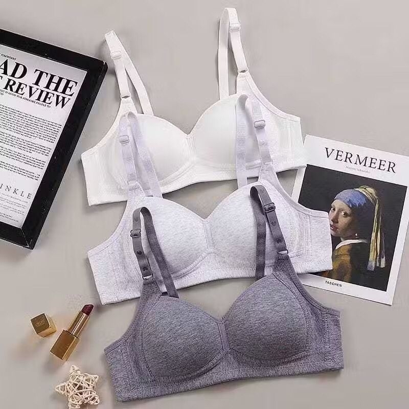 Jual PROMO 20 RIBUAN DAPET 6 PCS BH WANITA DEWASA / BH WANITA TERBARU ...