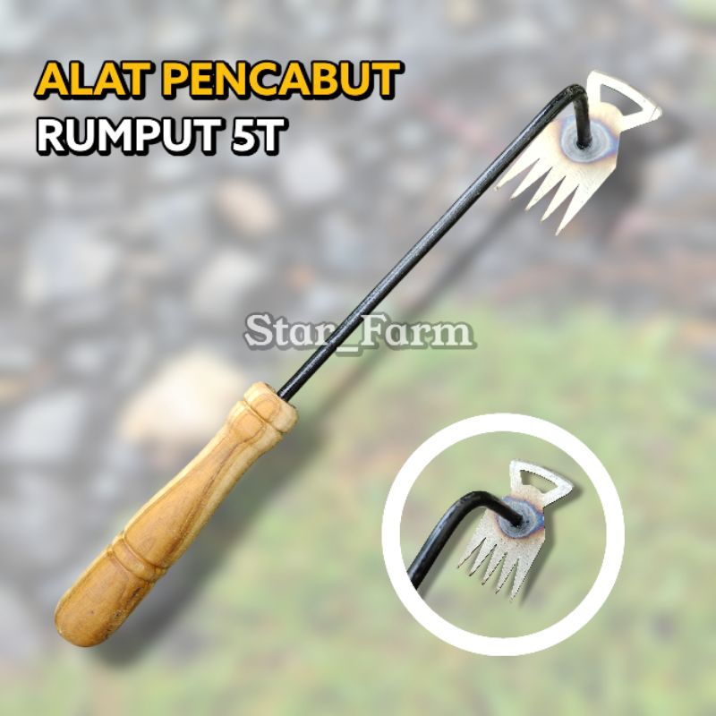 Jual Alat Pencabut Rumput Gigi 5 Gagang Kayu - Alat Berkebun Murah ...