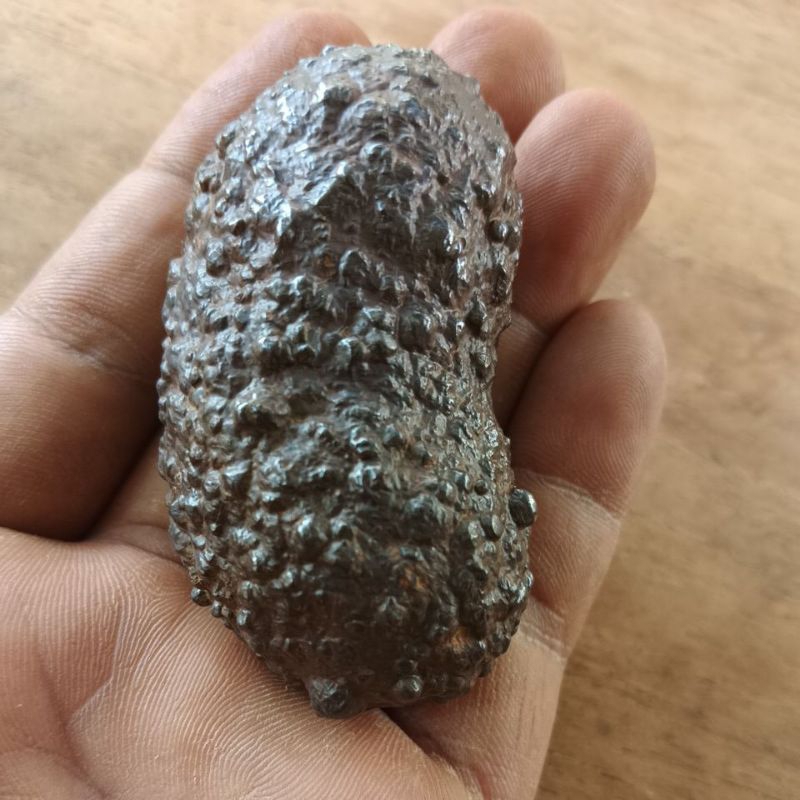 Jual batu posil tanaman rambat gadung asli alami | Shopee Indonesia