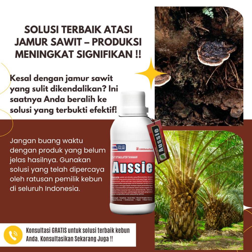 Jual Aussie Obat Ganoderma Sawit atasi Jamur Sawit Busuk akar dan busuk ...