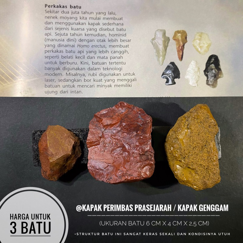 Jual Kapak Perimbas Purba C40 atau Kapak Genggam atau Kapak Batu atau ...