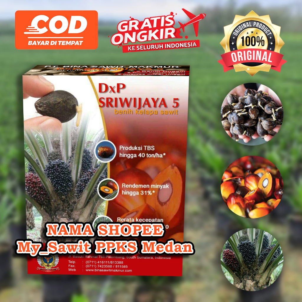 Jual SRIWIJAYA DXP SUPER UNGGUL DAPAT SERTIFIKAT DAN BONUS | Shopee ...