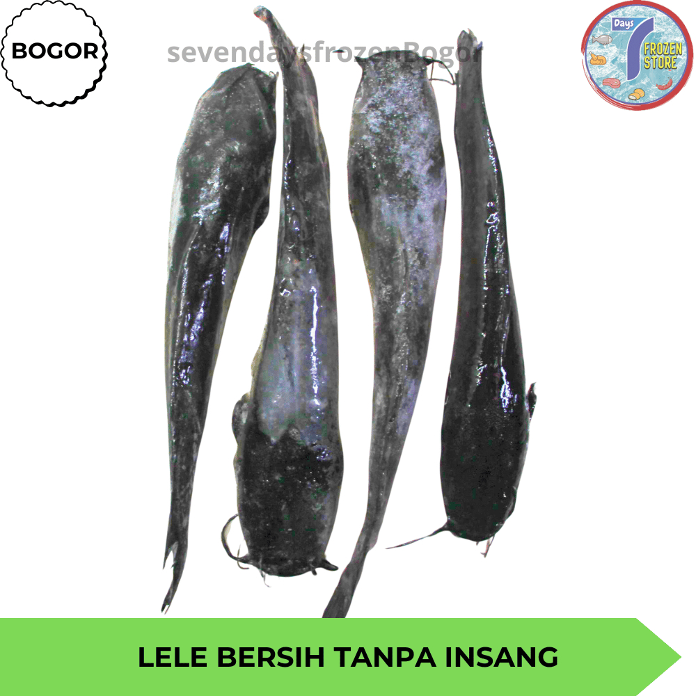 Jual Ikan Lele | Lele Bersih | Lele WGGS Beku Frozen | Shopee Indonesia
