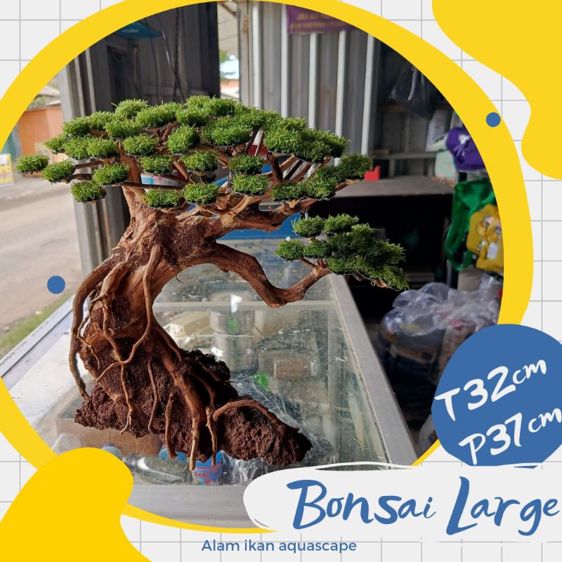 Jual Bonsai Large Alam Ikan Aquascape T32cm P37cm | Shopee Indonesia