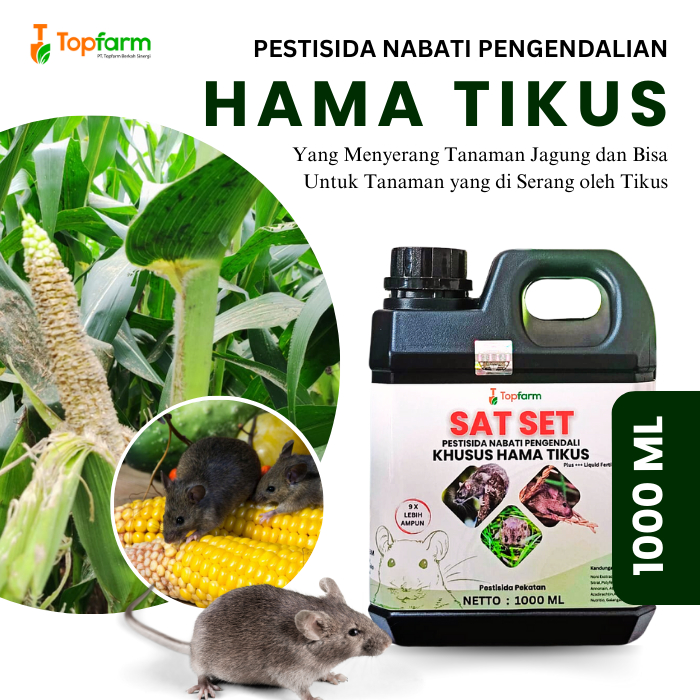 Jual Insektisida Topfarm / Pestisida Topfarm / Obat Tikus Jagung / Obat ...