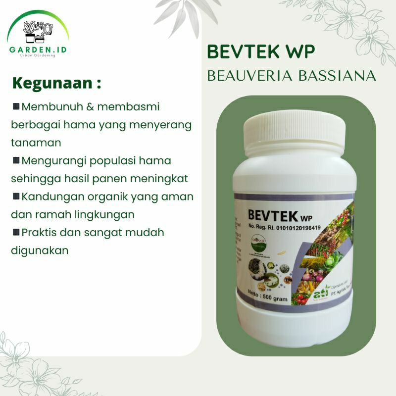 Jual Insektisida Organik/Alami - Beauveria Bassiana 50 gr | Shopee ...