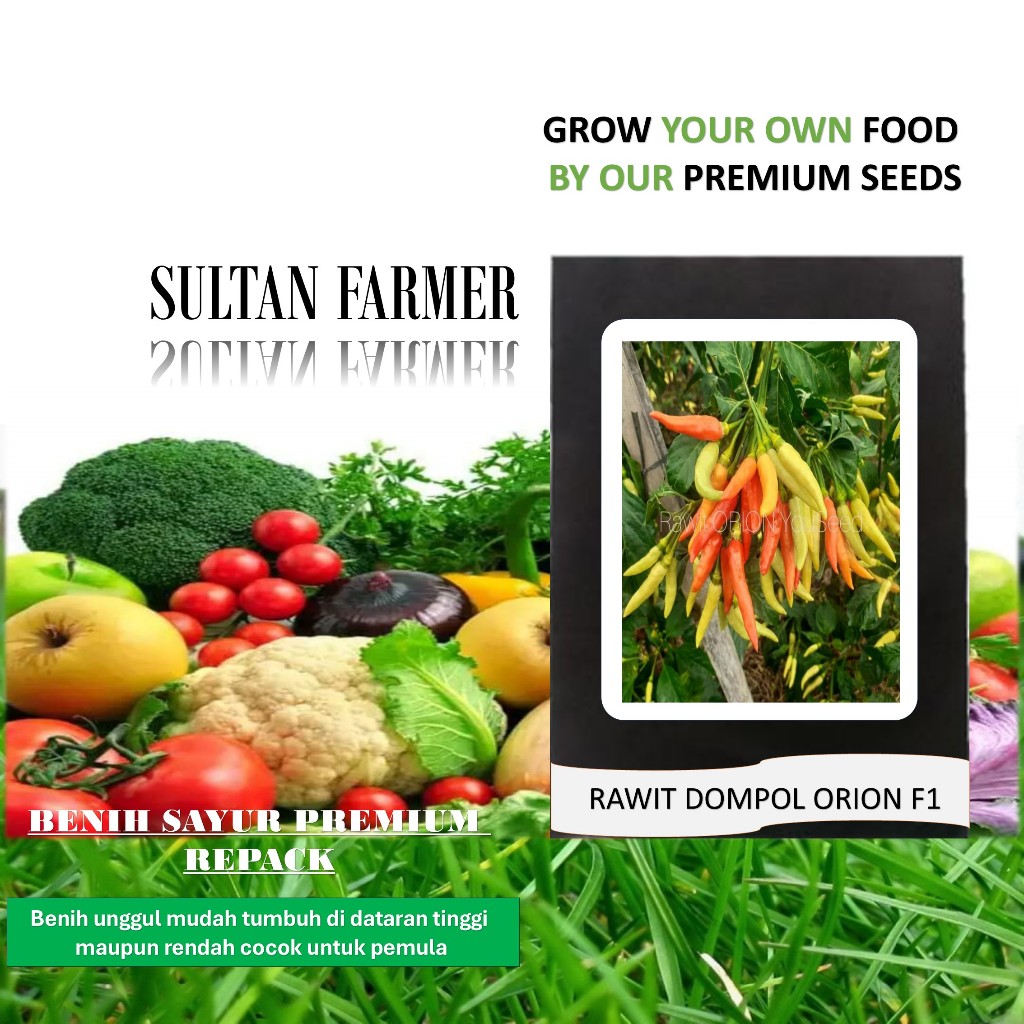 Jual ISI PAKET: 15 Bibit Cabe Rawit Dompol ORION F1 Hibrida Benih ...