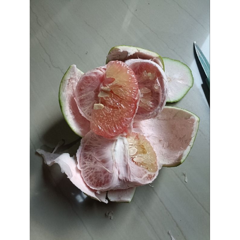Jual jeruk pamelo jenis adas duku | Shopee Indonesia