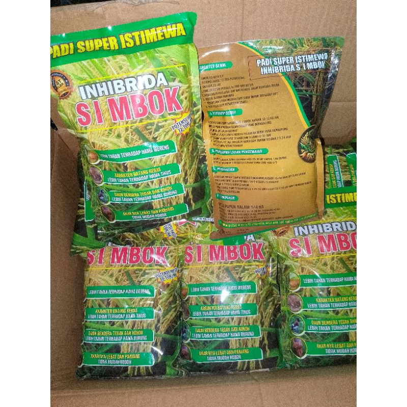 Jual (30 KG PADI SIMBOK MENTES + BONUS 1 KG + 1 KAOS SIMBOK) | Shopee ...