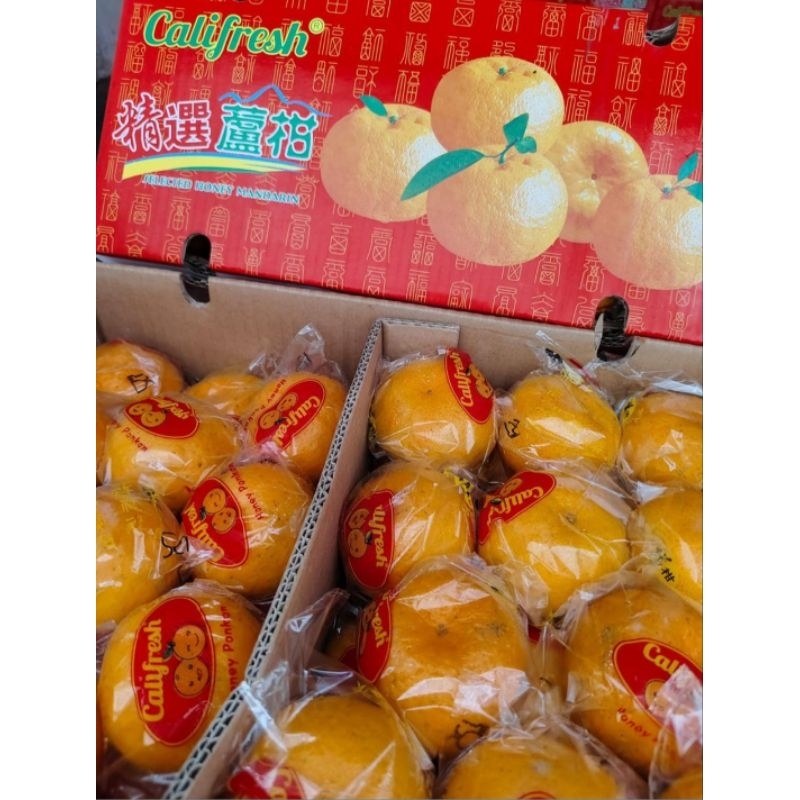 Jual Jeruk Ponkam Califresh 1 kardus 9 kg jeruk imlek | Shopee Indonesia