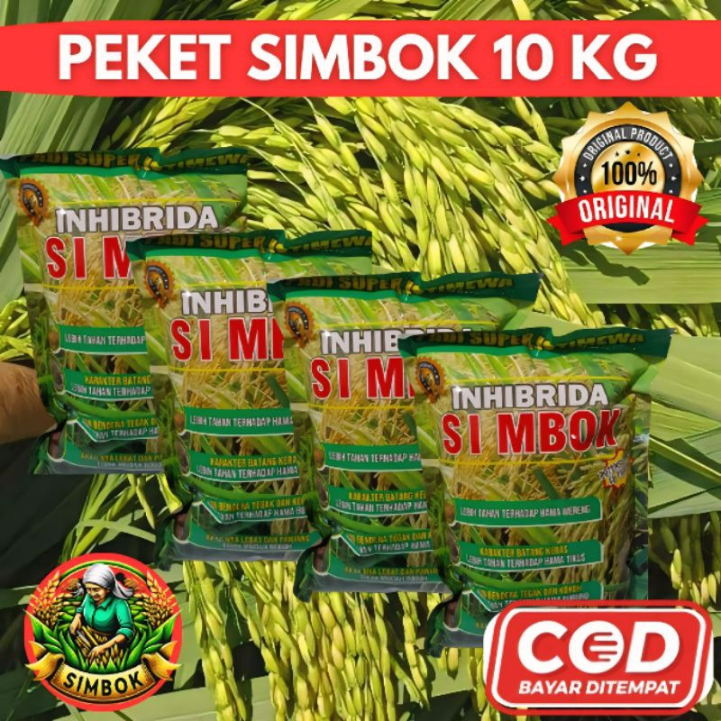 Jual (10 KG) PADI SIMBOK MENTES DIFORMULASI KHUSUS UNTUK HASILKAN ...