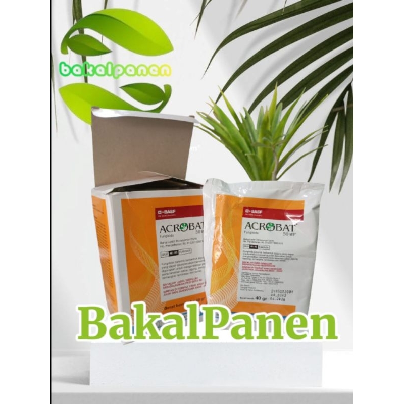 Jual Fungsida obat jamur Acrobat 40gr | Shopee Indonesia