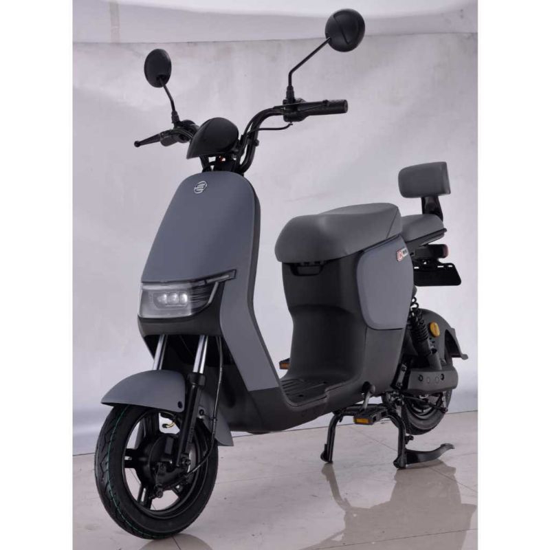 Jual sepeda listrik saige M80 pro 600watt NFC garansi resmi | Shopee ...