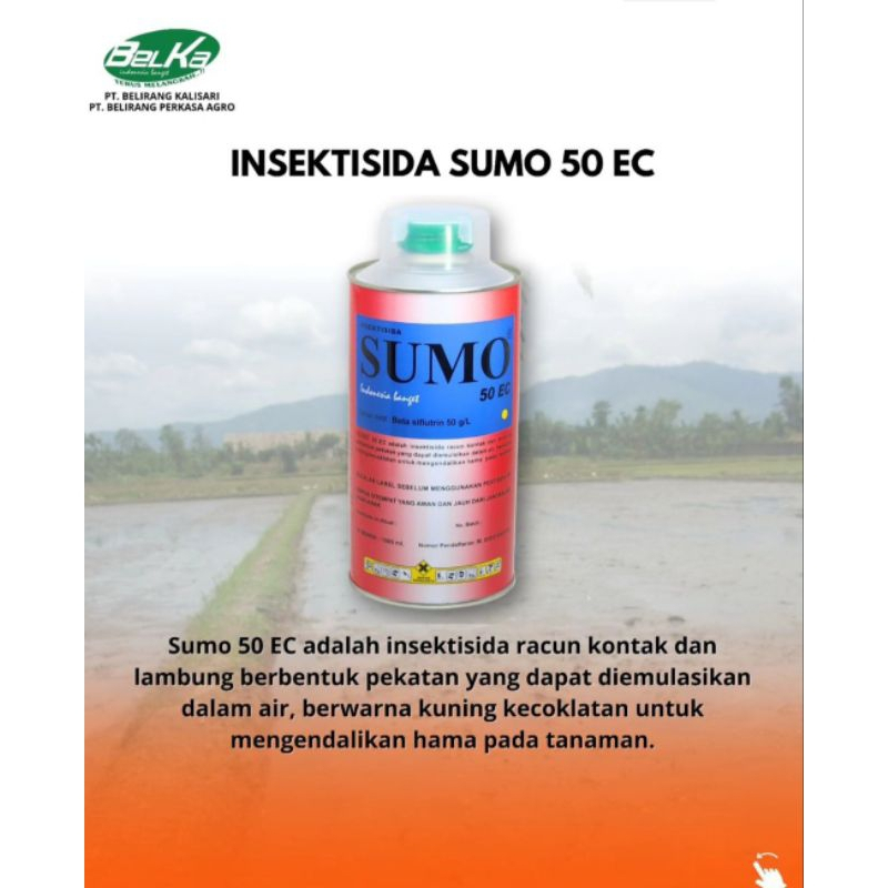 Jual Insektisida SUMO 50 EC - 500 ML | Shopee Indonesia