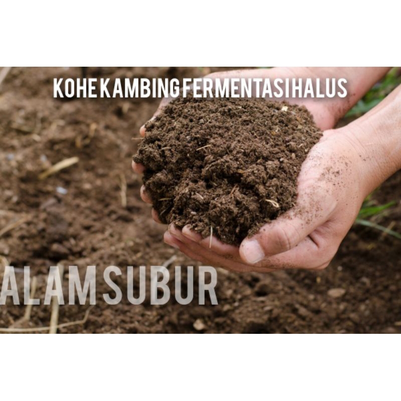 Jual kohe kambing fermentasi halus/kohe kambing fermentasi/media tanam ...