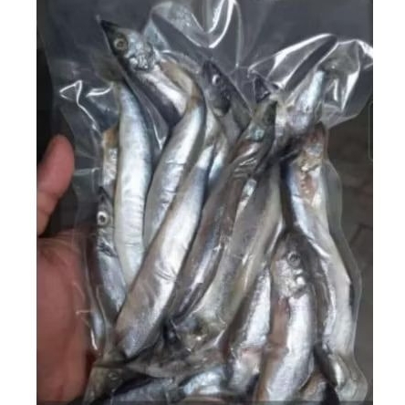 Jual IKAN SHISAMO PETELUR KHAS JEPANG 500 GRAM | Shopee Indonesia