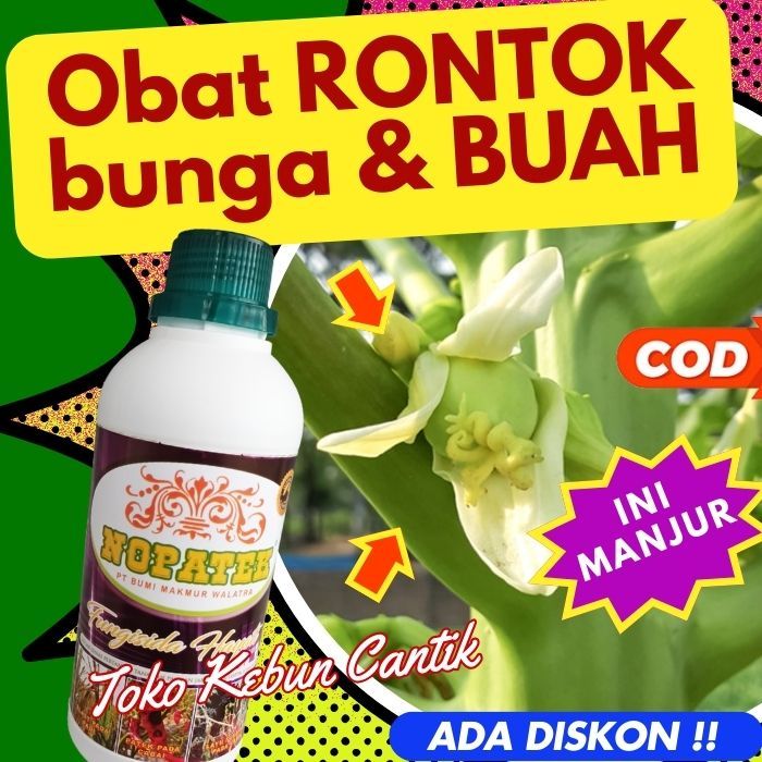 Jual NOPATEK 500ML untuk Rontok Bunga & Buah pada Jeruk, Durian, Mangga ...