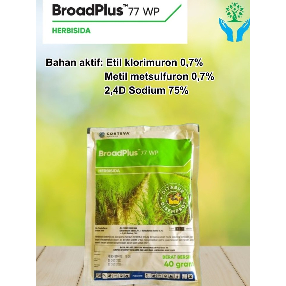 Jual Broad Plus 77 WP - Herbisida Sistemik - Obat Rumput (Ally Plus ...