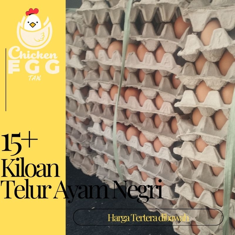 Jual Telur ayam negeri 15kg egg FRESH dan segar | Shopee Indonesia