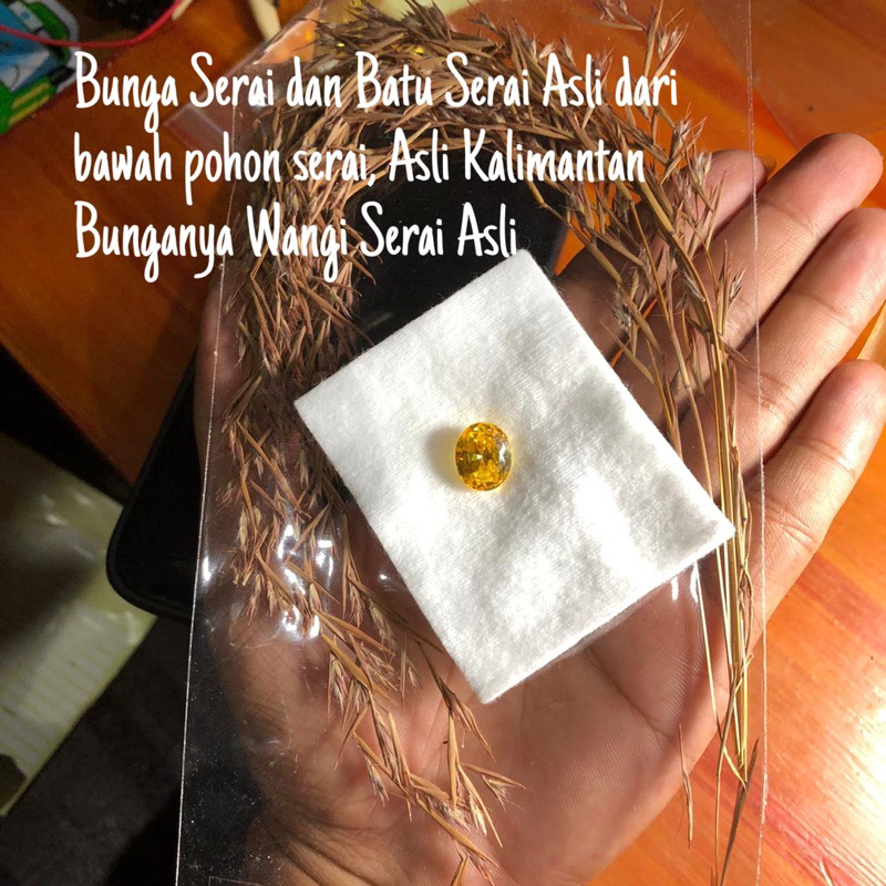 Jual Batu Serai dan Bunga Serai Asli Kalimantan | Shopee Indonesia