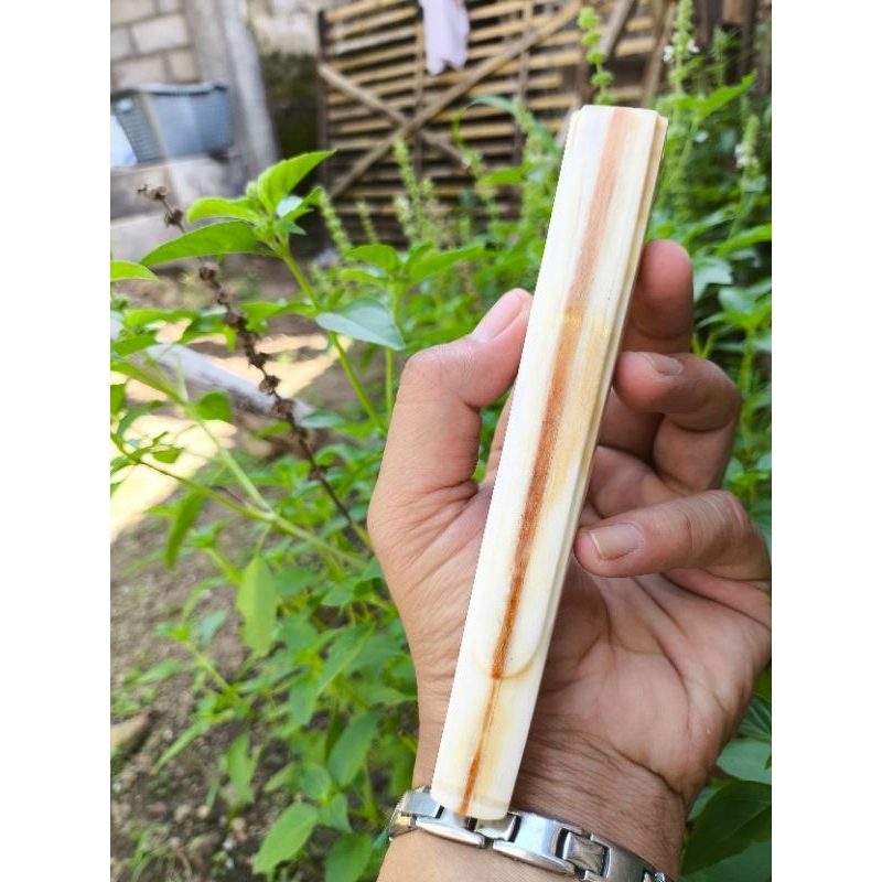 Jual once pipa Pipo tulang marlin 15cm up premium rasa gurih di bawah ...