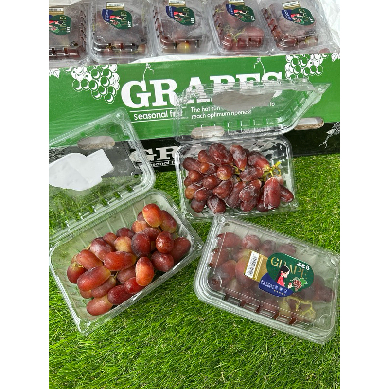 Jual Anggur Red Muscat Pack | Shopee Indonesia
