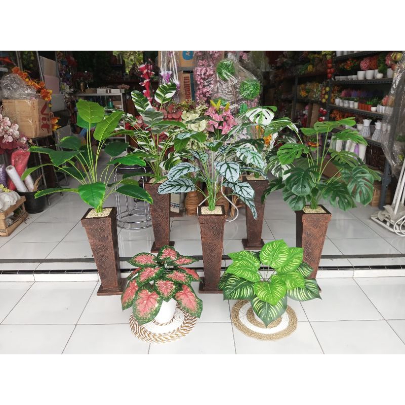 Jual BUNGA HIASAN SUDUT RUANGAN DENGAN POT KAYU // BUNGA HIAS DAUN ...
