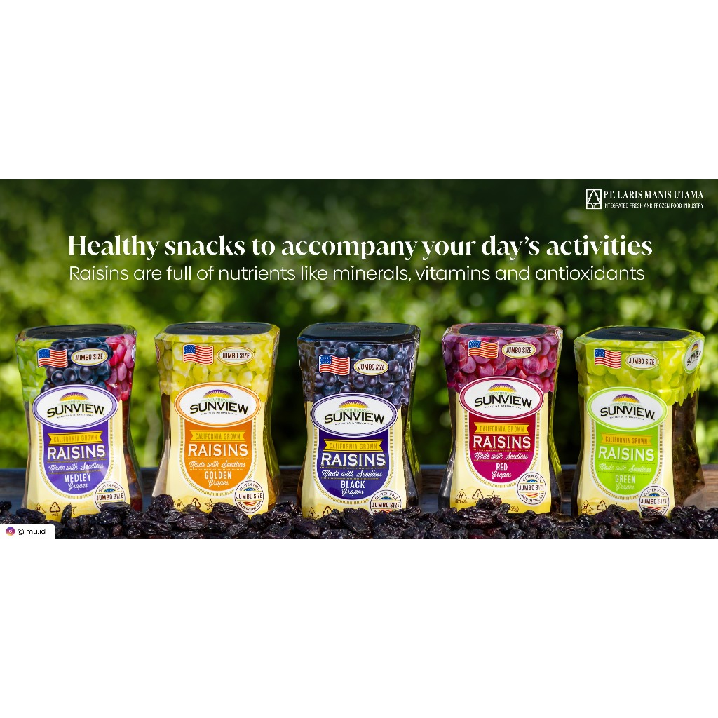 Jual My Fruit Sunview Raisins Grapes 425 gr | Shopee Indonesia