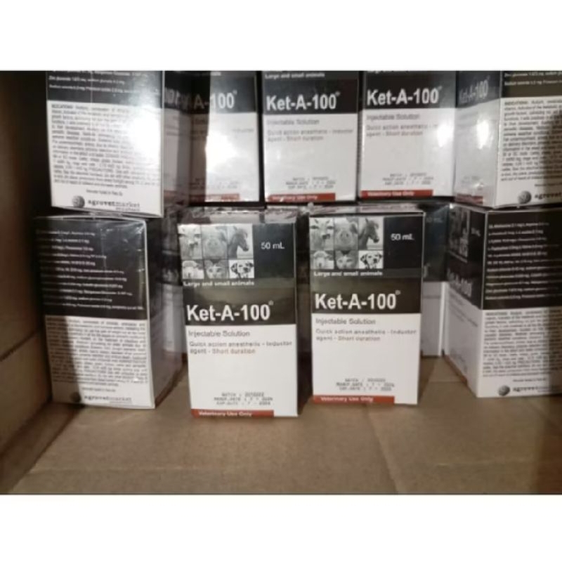 Jual KET A 100 Asli Original Untuk Hewan Ampuh Majur Original ...