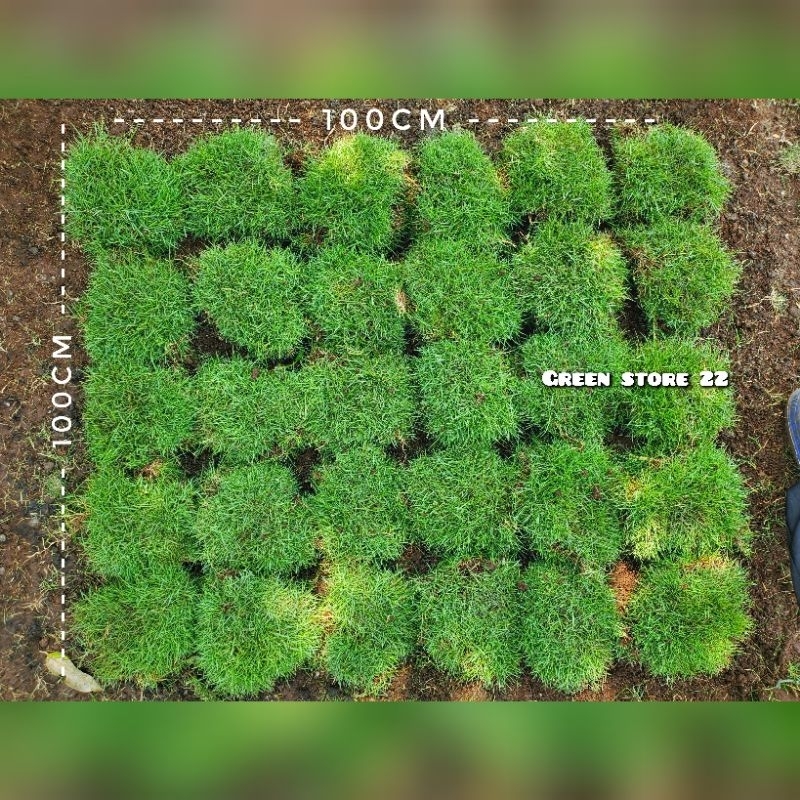 Jual Rumput Jepang | Peking PerMeter² ( Isi 34 Keping Lempengan Bulat ...