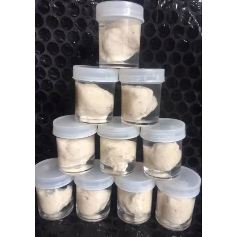 Jual LEM BURUNG GETAH KARET ASLI 500 GR | Shopee Indonesia