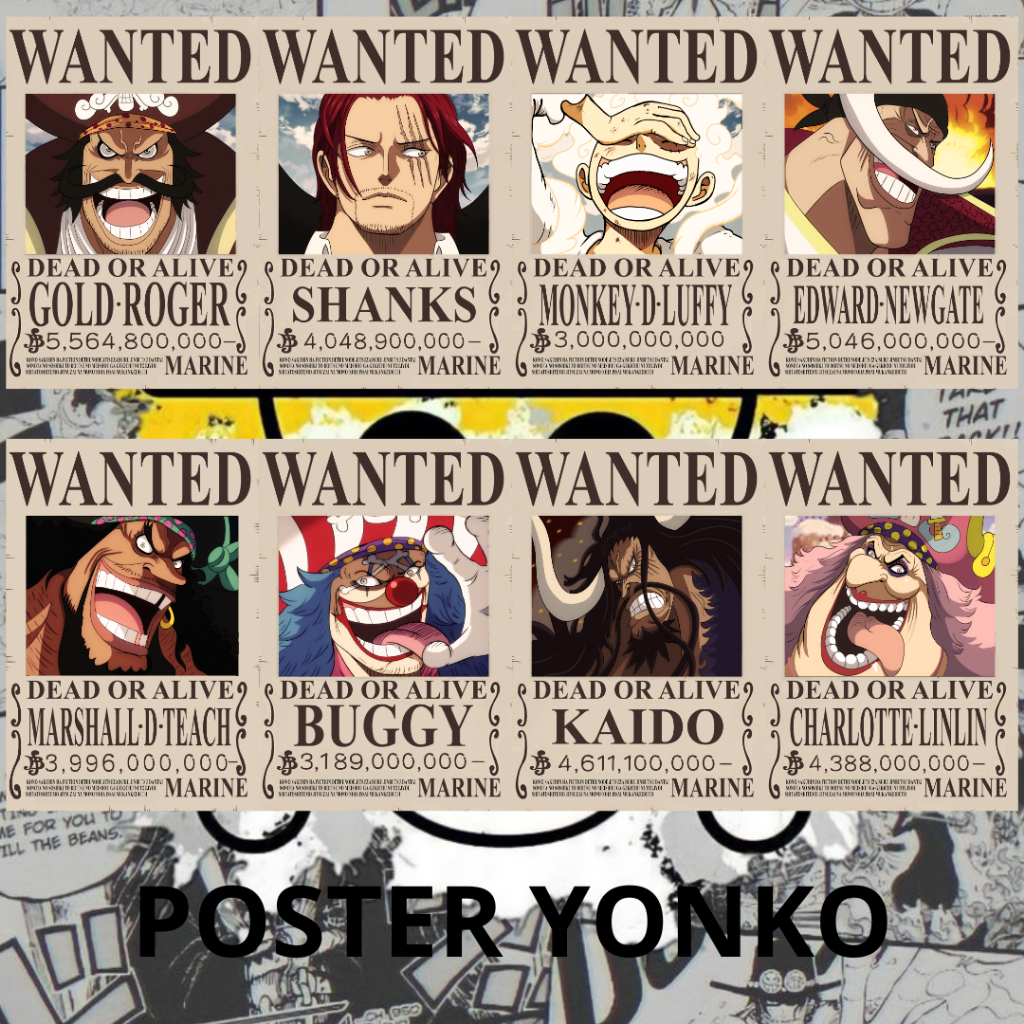 Jual POSTER BURONAN ONE PIECE | Shopee Indonesia
