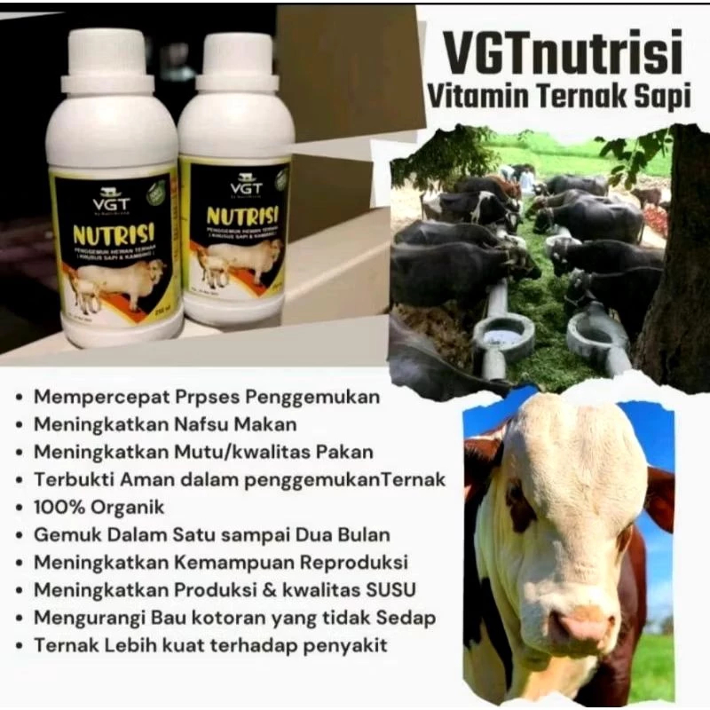 Jual Vitamin Nutrisi Sapi 250 ml - VGT Sapi dan Kambing - Domba - VGT ...
