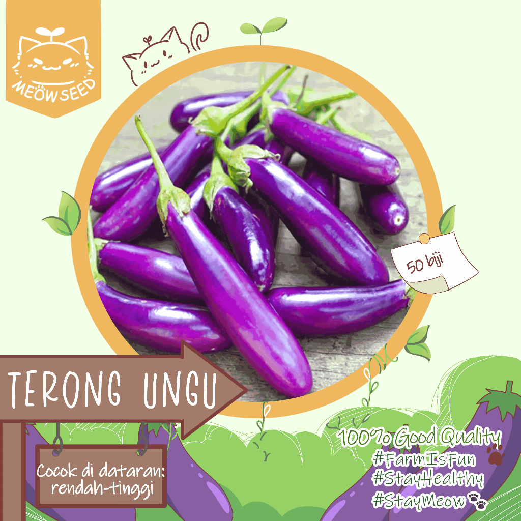 Jual 50 biji- Benih Bibit Terong Ungu SUPER, Tahan Penyakit, Benih ...