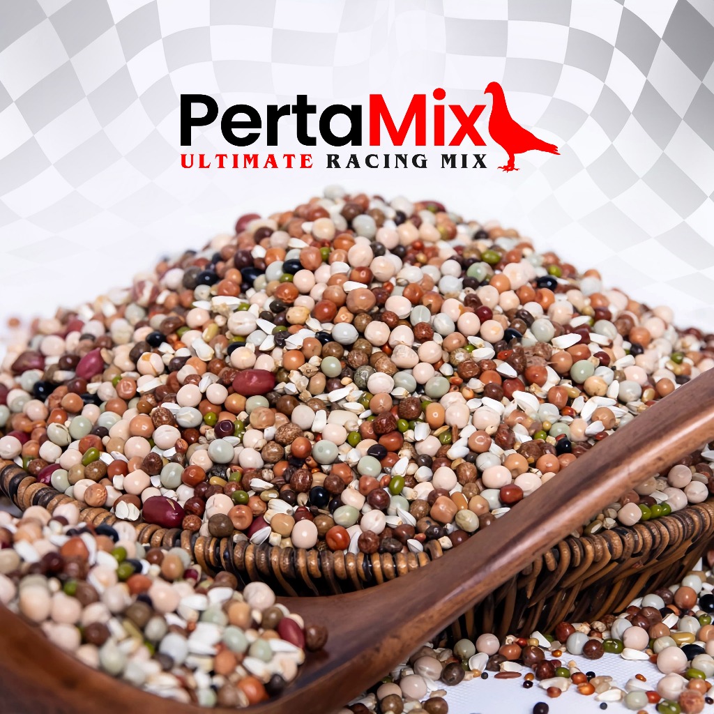 Jual Pakan Merpati Import Pertamix Ultimate Pakan Burung Lomba Kualitas ...