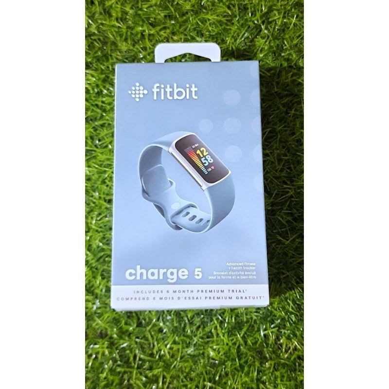 Jual Smartwatch Fitbit Charge 5 - Steel Blue (ORI/NEW) | Shopee Indonesia