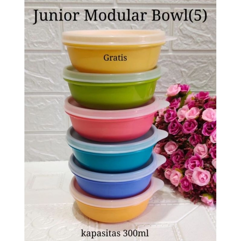 Jual junior modular bowl tupperware | Shopee Indonesia