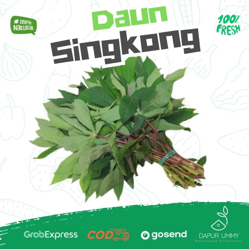 Jual SAYUR FRESH • Daun Singkong | Shopee Indonesia