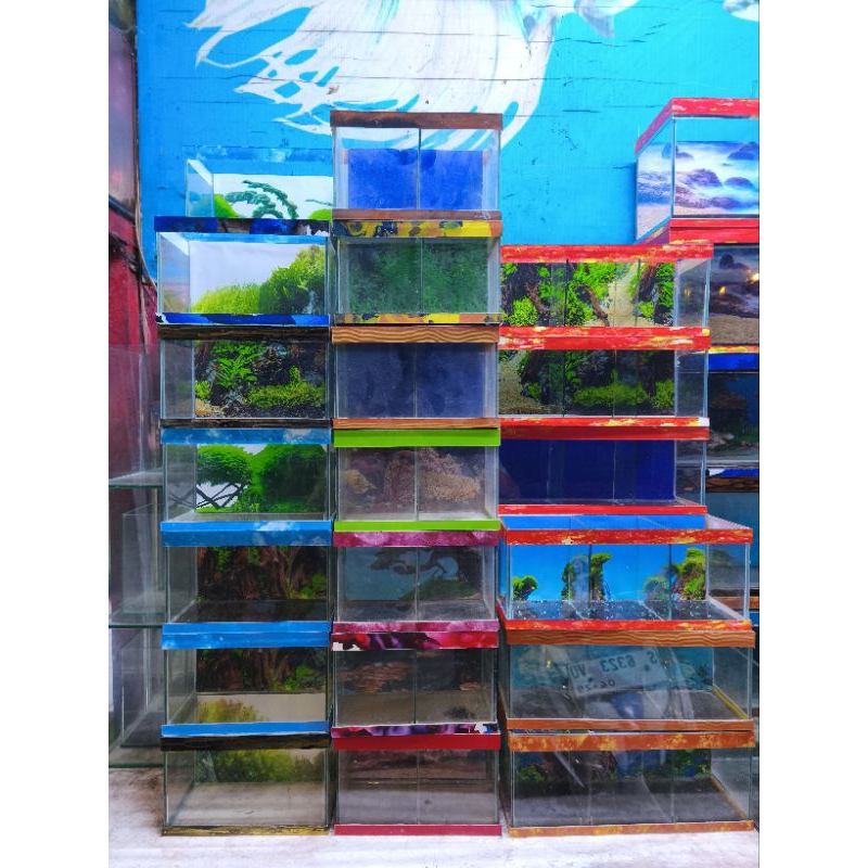 Jual Aquarium Soliter Cupang Termurah Ruang 1 2 3 Sudah Termasuk Extra ...