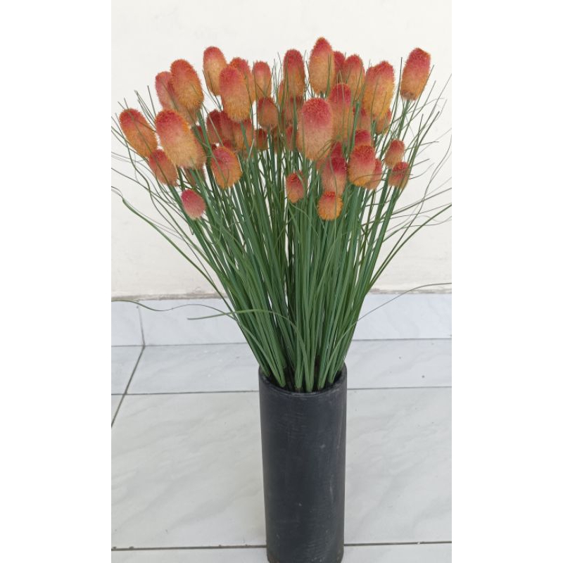 Jual Bunga pentul dan rumputnya | Shopee Indonesia