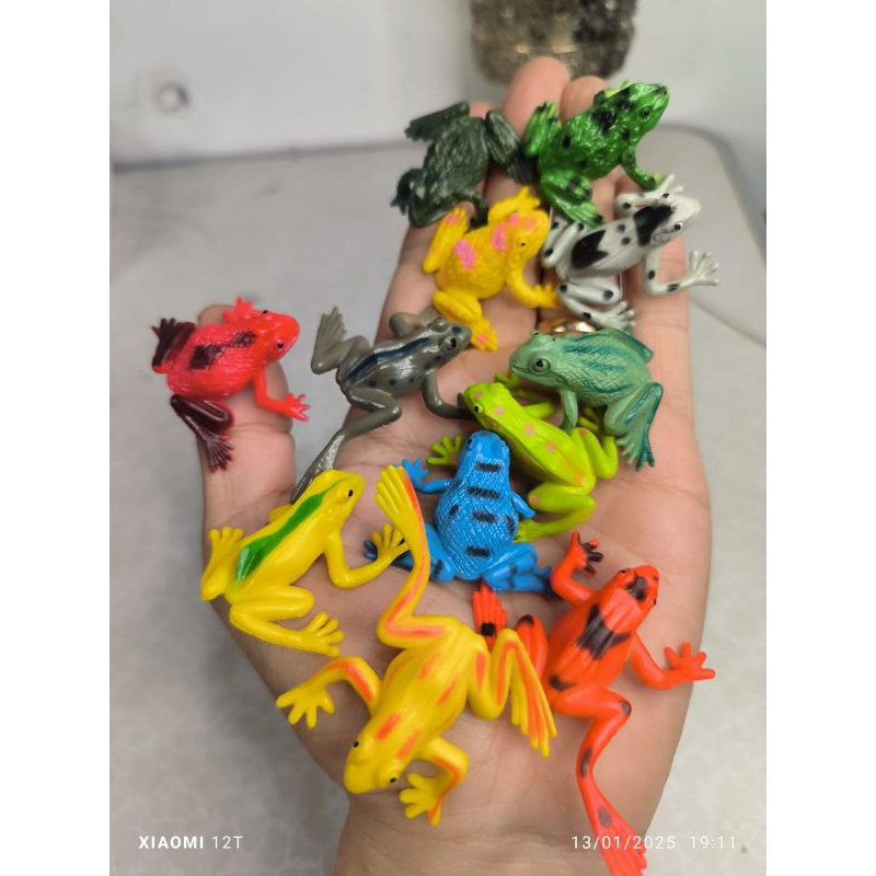 Jual mainan karet kodok warna mini harga satuan | Shopee Indonesia