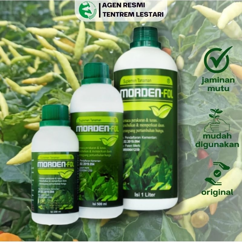 Jual Mordenfol Pupuk Cair Magnesium Pospat Morden Fol Fospat Nutrisi ...