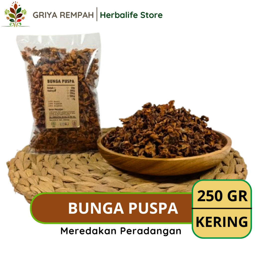 Jual BUNGA PUSPA KERING 250 GRAM Simplisia Herbal Premium untuk Ramuan ...