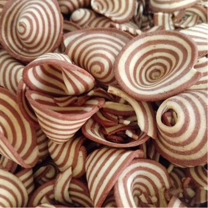 Jual JUAL KUPING GAJAH CIP COP & MINI | Shopee Indonesia